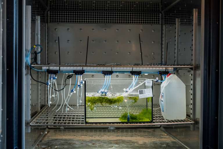 Biosystems Laboratory | ENVIRONMENTAL SCIENCE